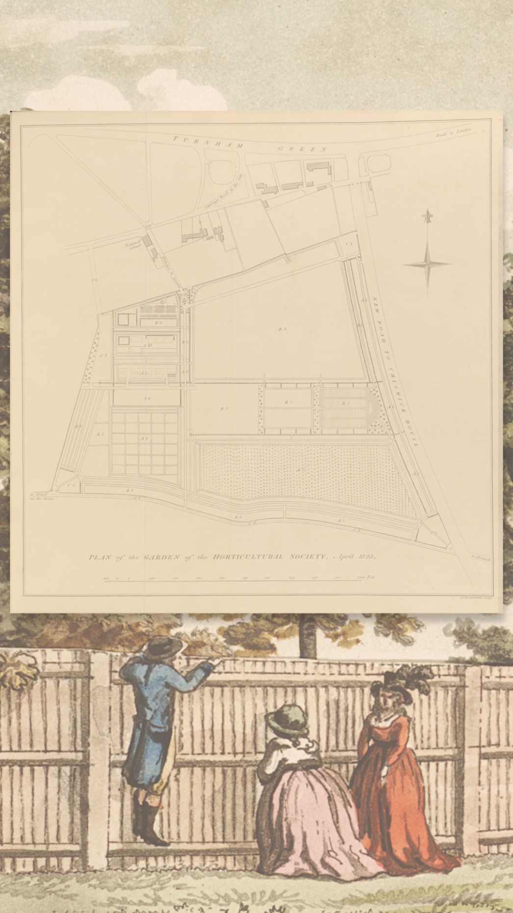 200 years of visiting RHS Gardens